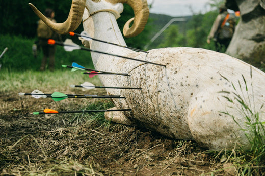 TARGETS – Podium Archer