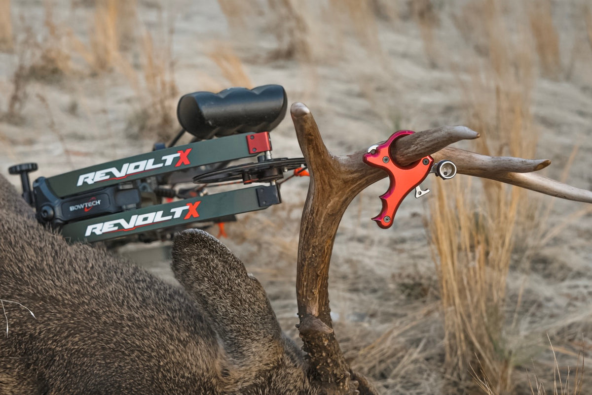 Carter releases – Podium Archer