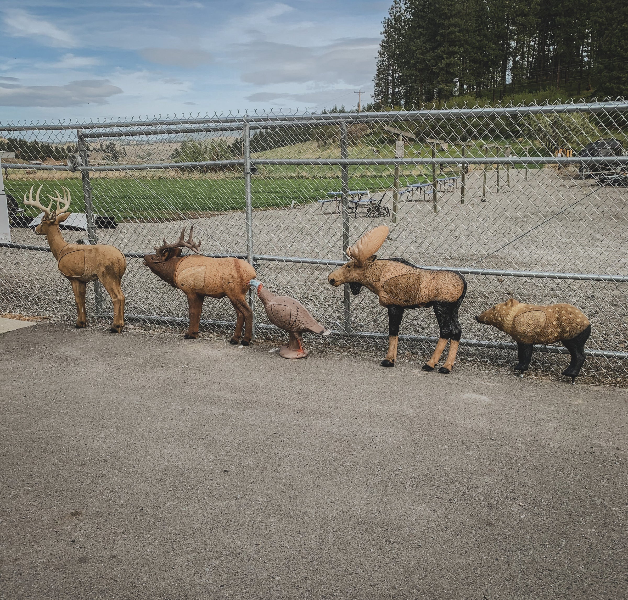 Podium Archer - Archery Bows, Arrows, Targets, Releases, Sights, Rests