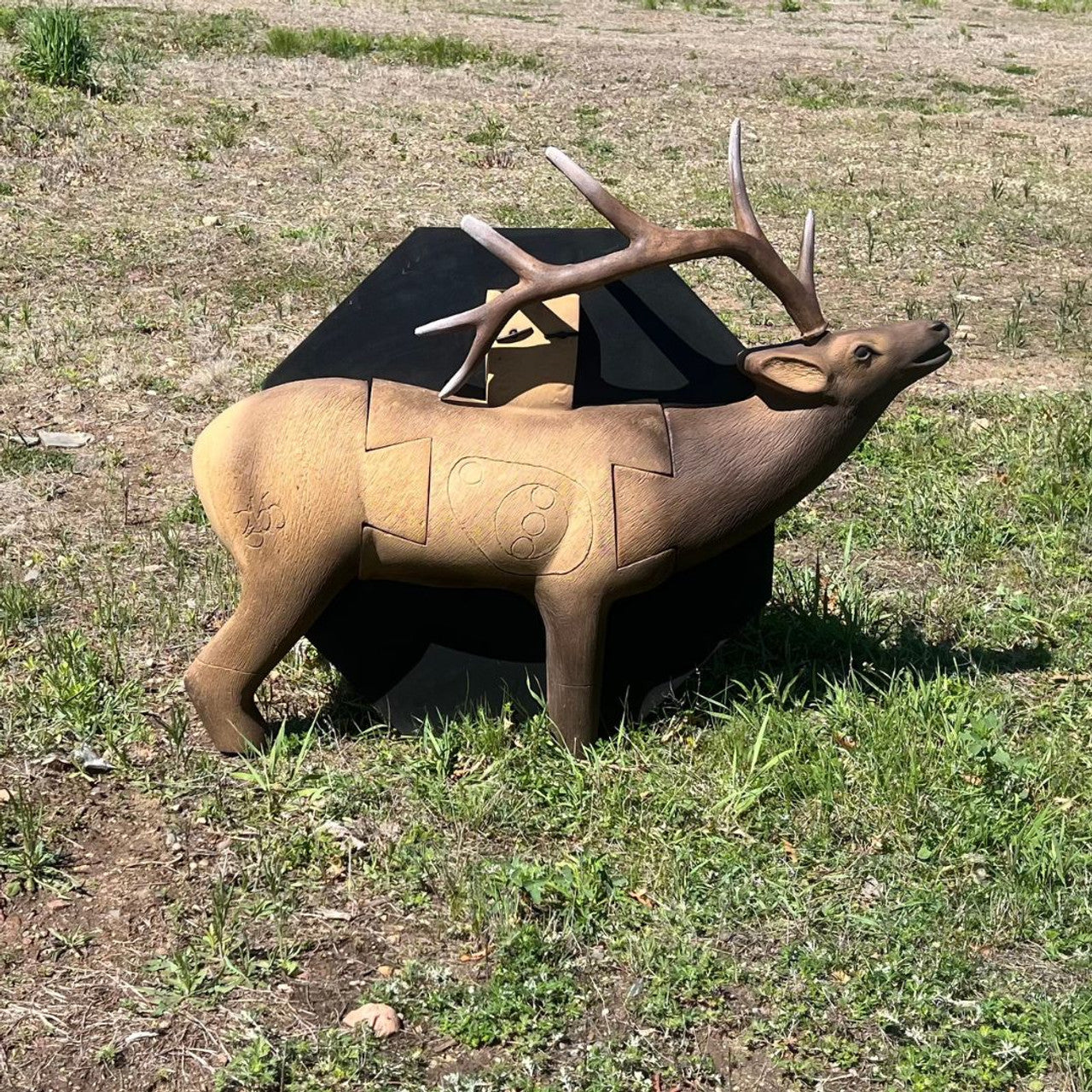 365 Archery TARGET BUDDY - 3D ELK – Podium Archer