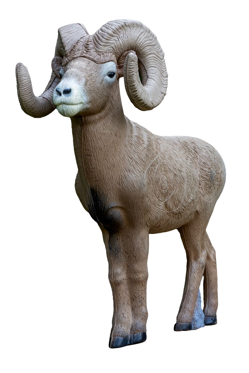 Rinehart SIGNATURE BIGHORN RAM – Podium Archer