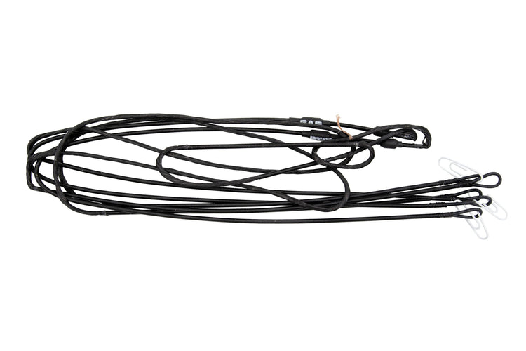 Darton Bows – Podium Archer