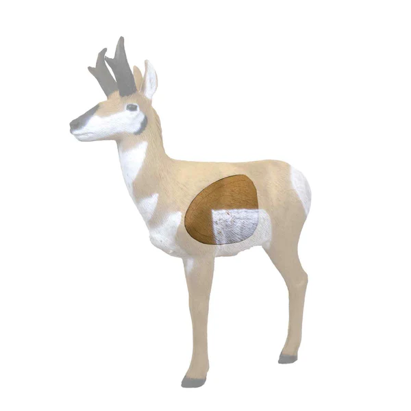 Rinehart SIGNATURE ANTELOPE – Podium Archer