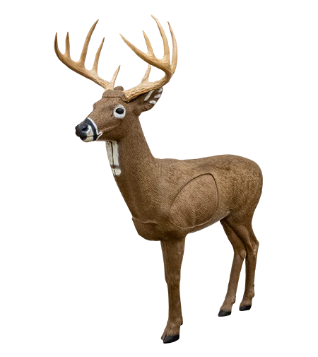 Rinehart BIG JIM 3D Deer Target and core – Podium Archer