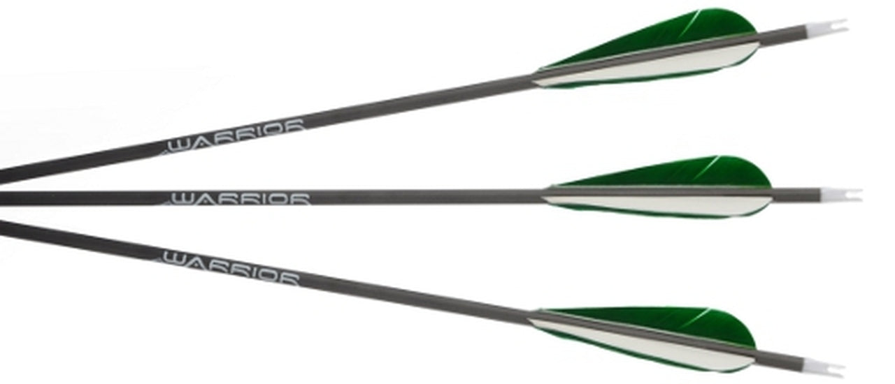 Gold Tip WARRIOR Fletched Arrows (Raptor Vanes & Feathers) – Podium Archer